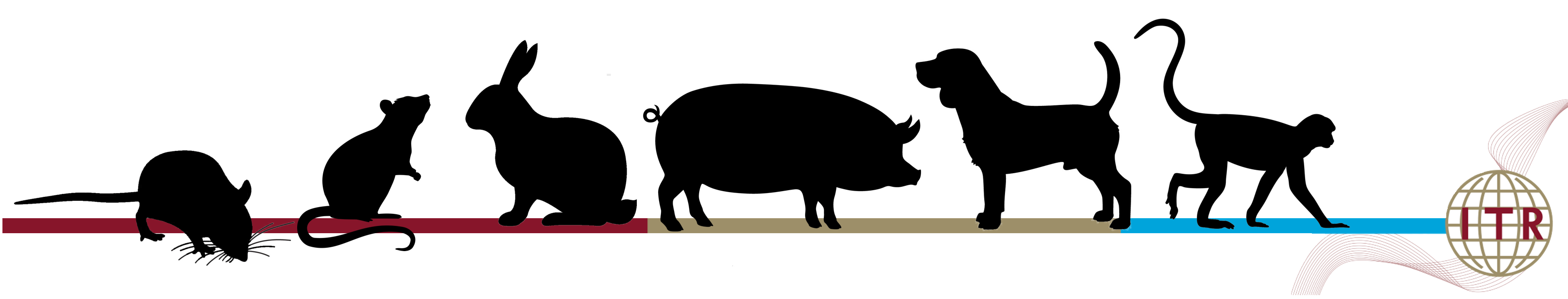 Color-Bar-With-Rat-Mouse-Rabbit-Pig-Dog-Monkey - ITR Laboratories ...