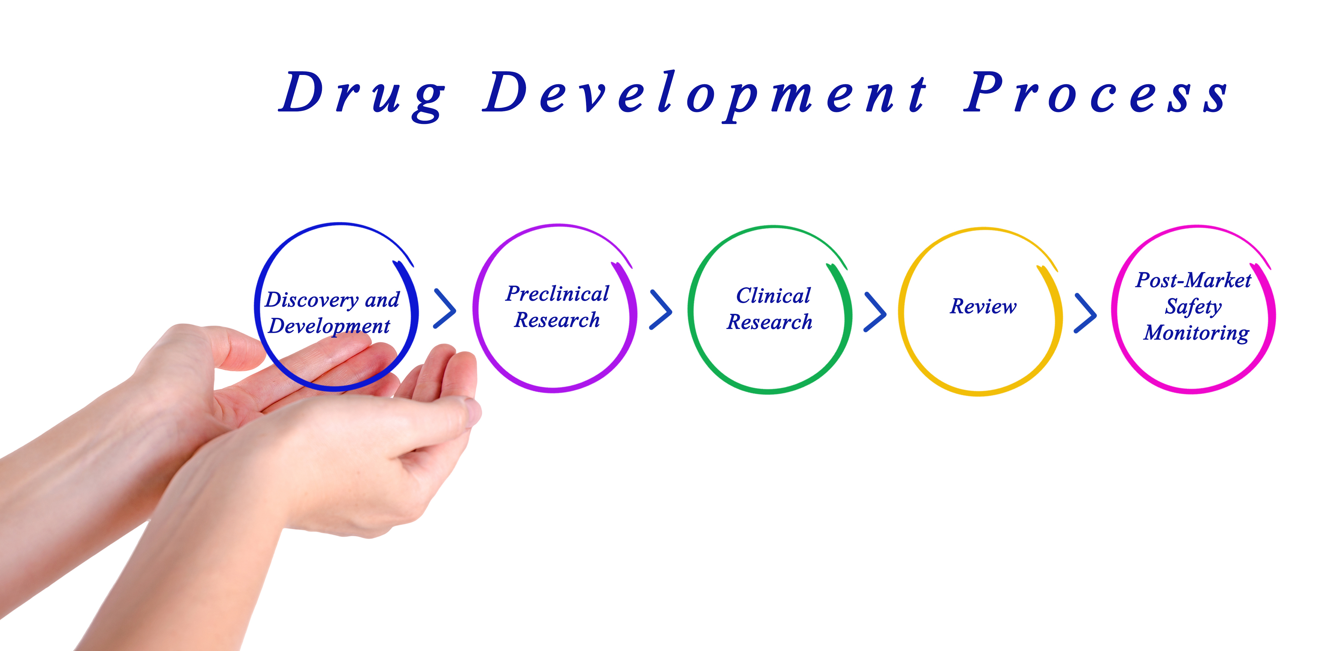 Four Phases Of Drug Development Four Phases Of Drug Development